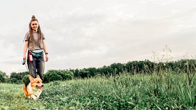 Contact Us – Petmasters